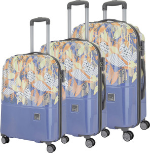 Genie Foliage Lavender Set of 3 (Small 55cm | Medium 66cm | Large 79cm ...