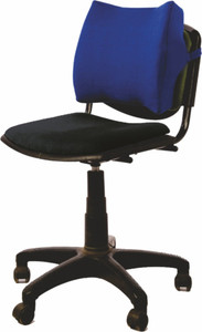 VISSCO Orthopaedic Back Rest for Yoga | to Correct Posture of the Low ...