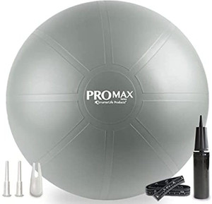 SmarterLife Products Gym Ball Gym Ball Price in India - Buy SmarterLife ...