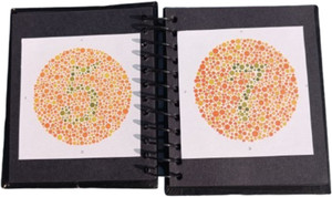 ZELOX Ishihara Test Chart Book for Colour Deficiency 38 Plates for Eye ...