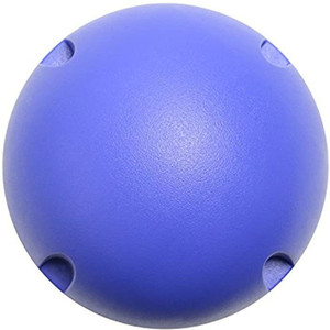 CanDo 10 1763 Mvp Balance System Level 4 Blue Ball Back / Lumbar ...
