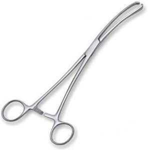 gplus Vulsellum forceps Length: 10" Tissue Forceps Price in India - Buy ...