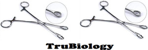 TRU BIOLOGY Sponge Forceps Stainless Steel 410 8 inch 2 pcs Grade ...