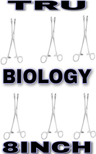 TRU BIOLOGY Sponge Holding Forcep 8"(Pack Of 6) Surgical Plier Price in ...