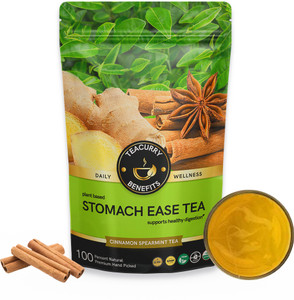 TEACURRY 30 Day Digestion Tea | 100 grams of Digestive Tea, 100 Cups ...