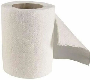 KESHIKA Toilet Paper roll (Pack of 6) Toilet Paper Roll Price in India ...