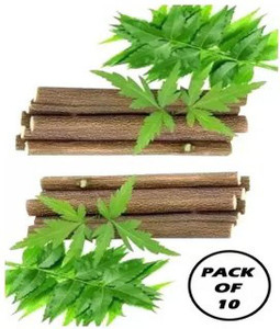 Red Champion Ayurvedic Natural Organic Neem Datun Toothbrush Neem Tree ...