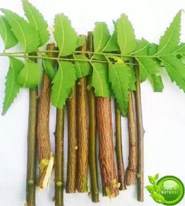 RAUNAK HANDLOOM Fresh Organic Neem Datun Chew Sticks Medium Toothbrush ...