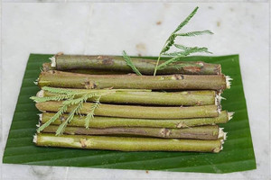 pisco Natural Babul Datun For Natural Clean Teeth Pack Of 10 Hard ...