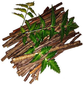 LEADWORT Desi datman Organic Neem Datun Chew Sticks Neem Twigs For ...