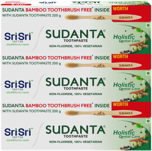 Sri Sri Tattva Sudanta With Bamboo Tooth Brush Inside | Non - Fluoride ...