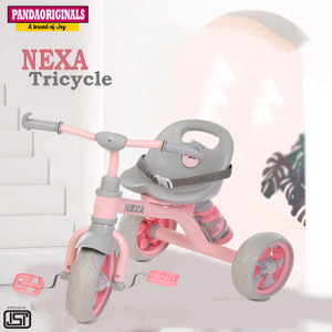 Pandaoriginals Super Tricycle For Kids, Age 2-5 yrs, weight capacity ...