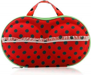 Wishbone Storage Bra Bag Underwear Bag Organizer Perfect for Travel ...