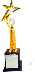 MS HANDICRAFT Trophies for Winners Awards Teachers Students Office ...