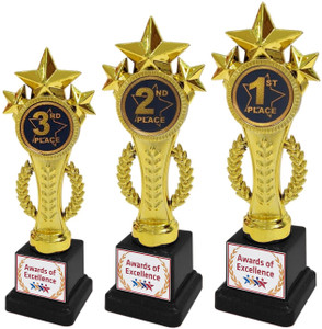 Jayshri handicrafts 1st,2nd,3rd rank Trophy Golden Award Trophies Cup ...