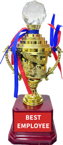 gamers hub “Best Employee” Trophy Medal/Award/Gift Trophy medal Medal F ...