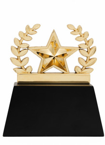 TROPHYMART Blaze Star Metal Body & Wooden Base Corporate Trophy|Event ...