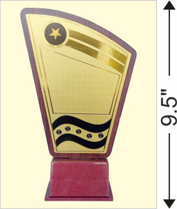 choudharitrophy Trophy Momento Award CTW-0018 B (Pack of 10) (6 inch ...