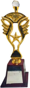 MS HANDICRAFT Golden Colour Trophy for Awards for Teachers and Students ...