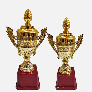 BAREEZÉ PURE Gold Premium Trophy Cup for Sport , Event , Ceremony, Art ...