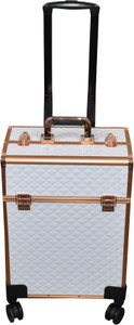 Pride STAR professional artist to carry makeup products Vanity Box ...