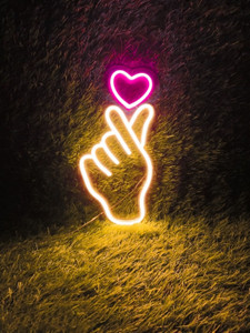 LIGHTRON Neon Sign Party Planet Finger Heart,for Decor 3DArt Wall Decor ...