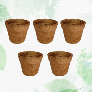 Nio Traditional Coir Pot 4 Inch Wooden Vase Price in India - Buy Nio ...