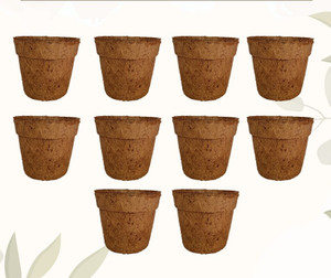 Nio Traditional Coir Pot Set of 10 Wooden Vase Price in India - Buy Nio ...