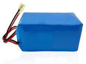E-Rex 36V 10Ah Lithium Ion Battery For E-bike , e-bicycle 10 Ah Battery ...