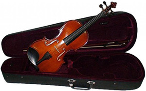 HS Internet HANDMADE INSTRUMENT BEHALA 4/4 Classical (Modern) Violin ...