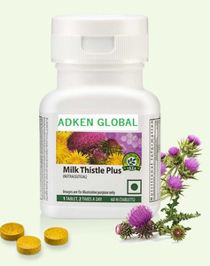 ADKEN GLOBAL Milk Thistle Plus (Improves liver health) Price in India ...