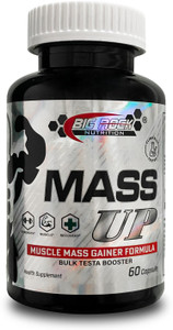BIG ROCK NUTRITION Mass Up| Muscle Mass Gain Formula/Weight Gainer ...