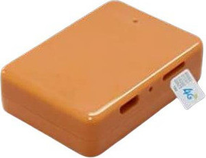 Safetynet GSM Box and Bluetooth Spy Earpiece Super Small Micro ...