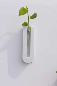 Albroo Albro 3D Printed Test Tube Planter With Test Tube Price in India ...