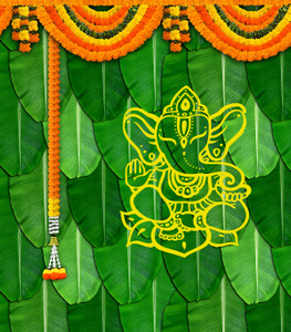 HARSHAD CREATION 243 cm (8 ft) Long Door Polyester Semi Transparent ...