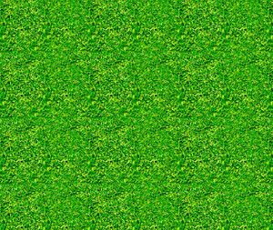 Tejas Creation Blackdrop Decoration 5'*8' ( 60 inch X 96 inch ) Altar ...