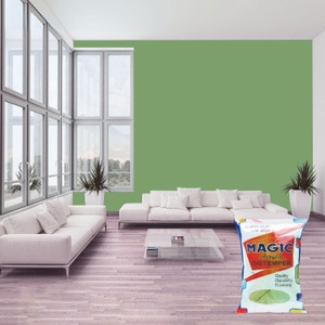 Magic Paints Acrylic Distemper Smooth Matte Finish Applied on Interior ...