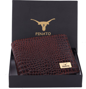 Pinato Men Casual, Evening/Party, Formal, Travel, Trendy Brown Genuine ...