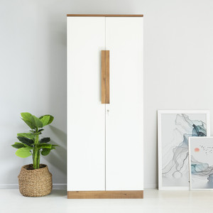 FURLENCO Bianca Engineered Wood 2 Door Wardrobe Price in India - Buy ...