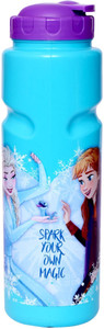 Flipkart.com | DISNEY FROZEN 700ml Summer Bottle: 2D Heat Transfer ...