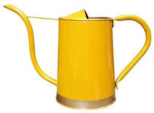 Advi 2 Litre Long Sprout Garden Watering Can 2 L Water Cane Price in ...