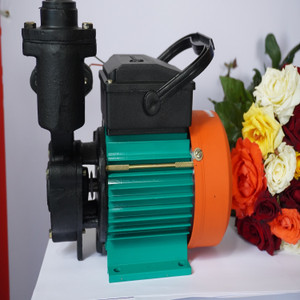 C R I Groups ELSA 100 AND MIKI 100 Centrifugal Water Pump Price in ...