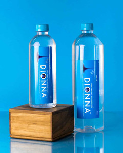 Dionna Dionna US Patented Structured Alkaline Water 1L (Pack of 15 ...