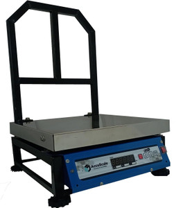 ASC AccuScale 300Kgs X 20g ( Stainless-Steel Body) Heavy-Duty, 16x 16 ...