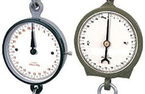 NAUDH 100KG/1000N SPRING BALANCE ROUND (PLASTIC) Weighing Scale Price ...