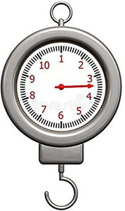 Elecopto SPRING BALANCE ROUND 100KG/1000N(METAL) Weighing Scale Price ...