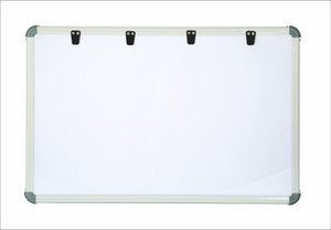 Evolife Led X-Ray Illuminator View Box "Double"- with Automatic Film ...