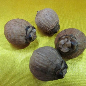 Yatharth Mart YATHARTH – MAHALAKSHMI BROWN SRIPHAL LAGHU NARIYAL SET OF ...