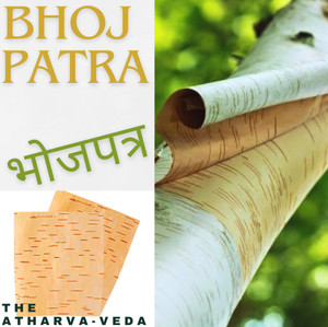 The Atharva-veda 2Pc Original bhojpatra sheet, bhoj patra for yantra ...
