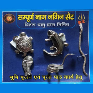 Parmeshwari Naag Naagin Set for Bhumi Pujan Panch Devta (Nag Nagin ...